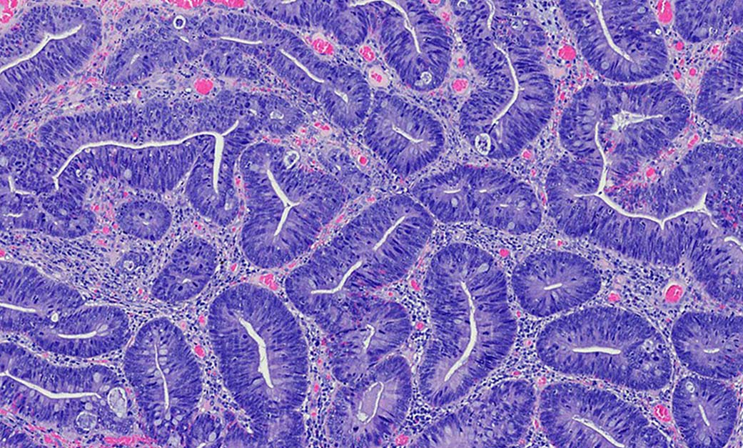 Sagis Diagnostics | From Diagnosis to Treatment, Our Focus is You.