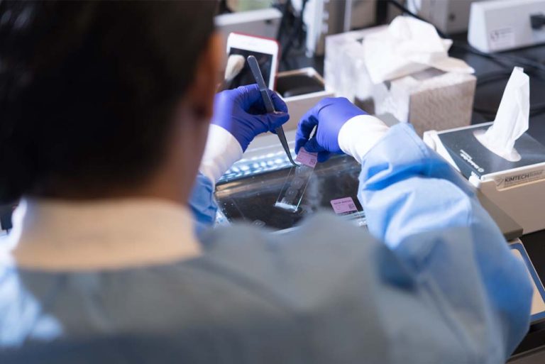 Dermatopathology Lab Services | Sagis Diagnostics