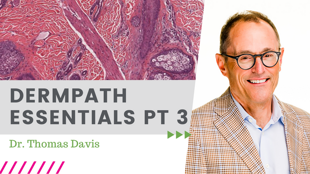 Dermatopathology Anatomy: Identifying Biopsy Locations and Features ...