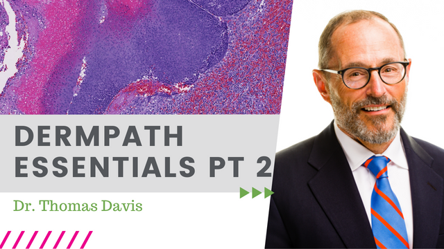 A Pattern-Based Approach to Dermatopathology: Analyzing Cases from ...