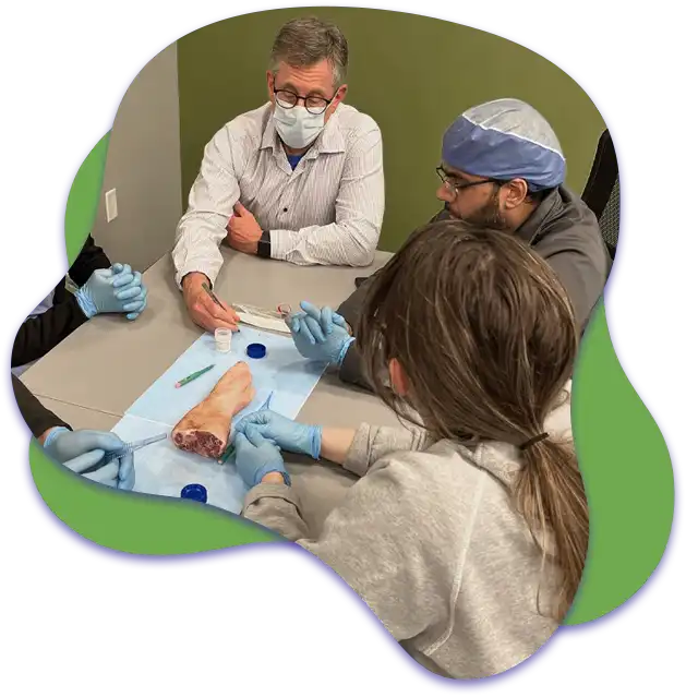 Podiatric Education Overview - Sagis